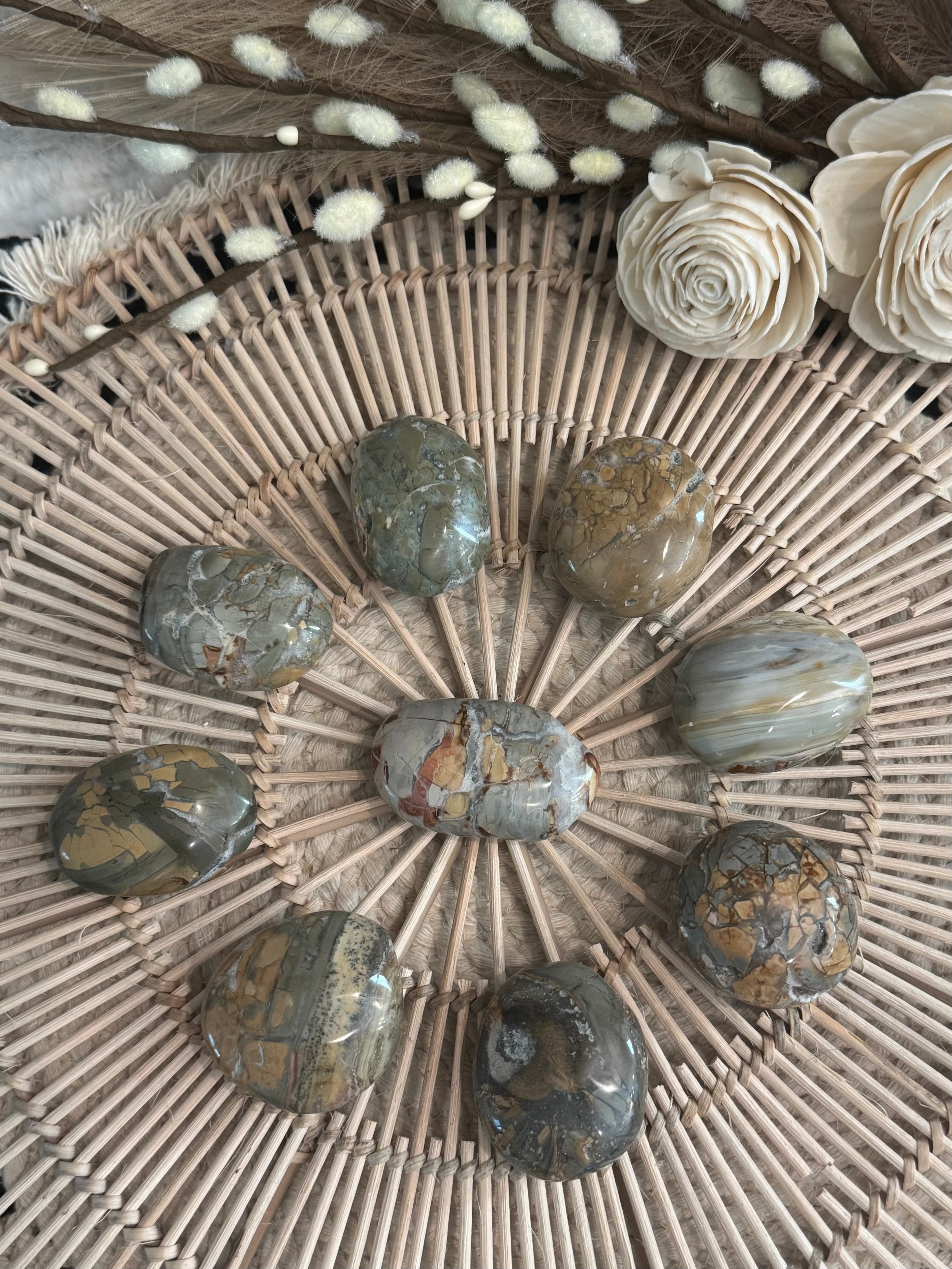 Ibis Jasper Palmstone – Alaskan Mystic Wonders